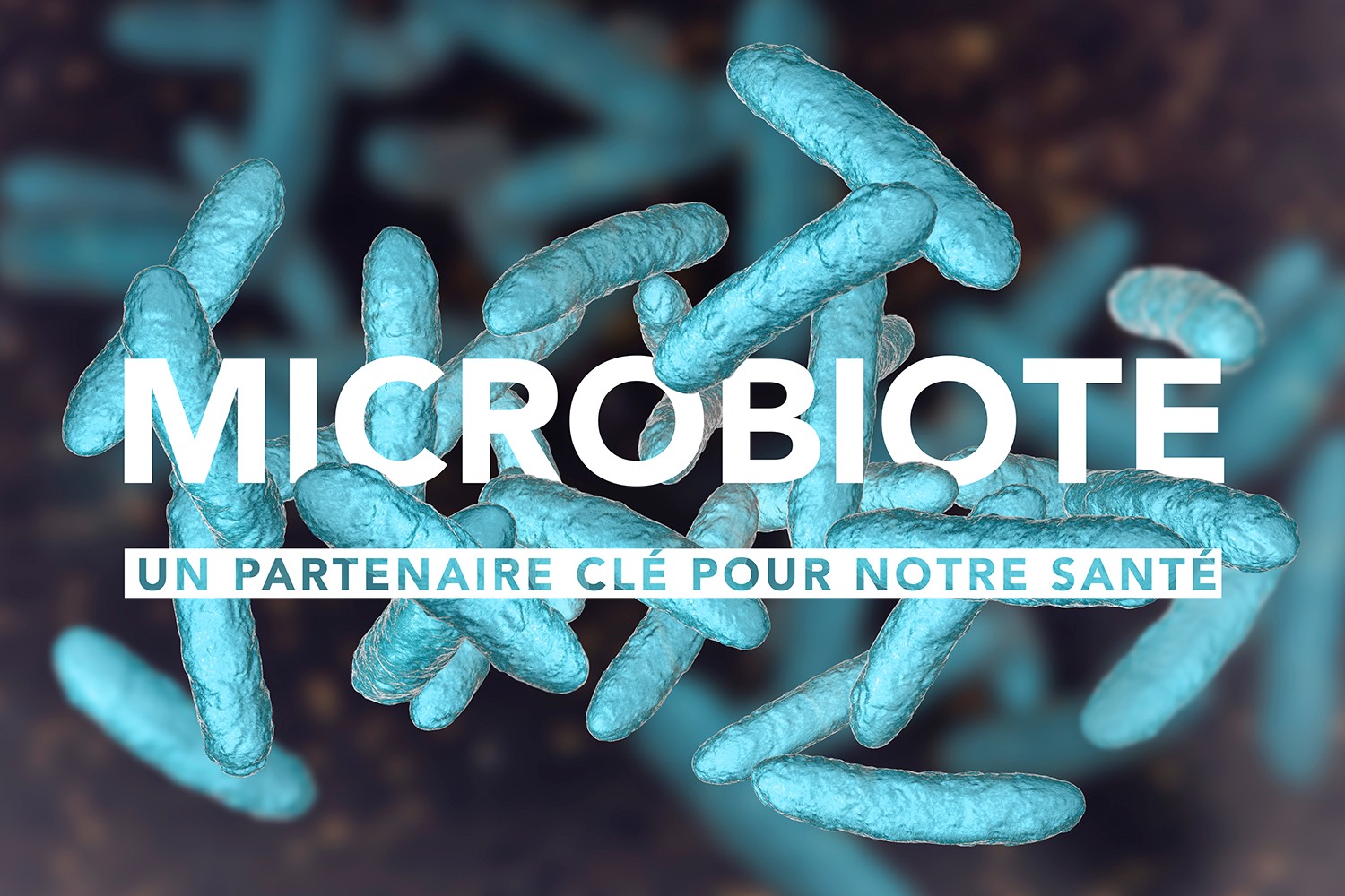 Tout sur le microbiote - Le guide complet ! - NutraCeutico
